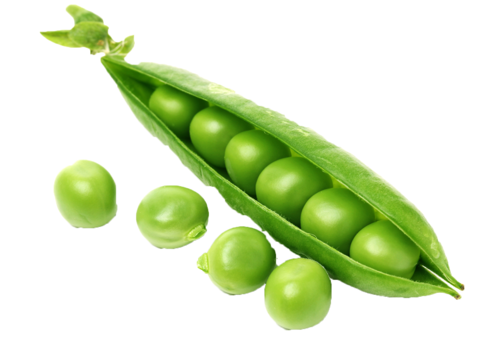 sweet-peas salad, gnarly pepper – Gnarly Pepper